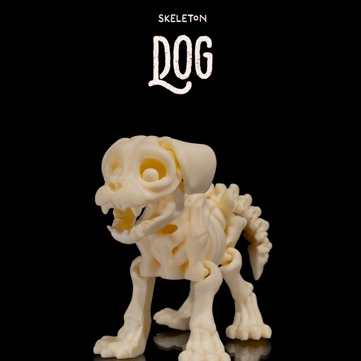 3D Printable Skeleton Dog by Stlflix